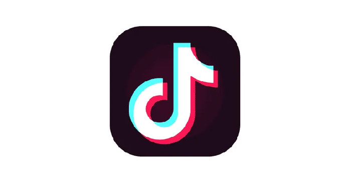 Social Media – Hundecoach Wiedemann in Weißenfels & Ibbenbüren